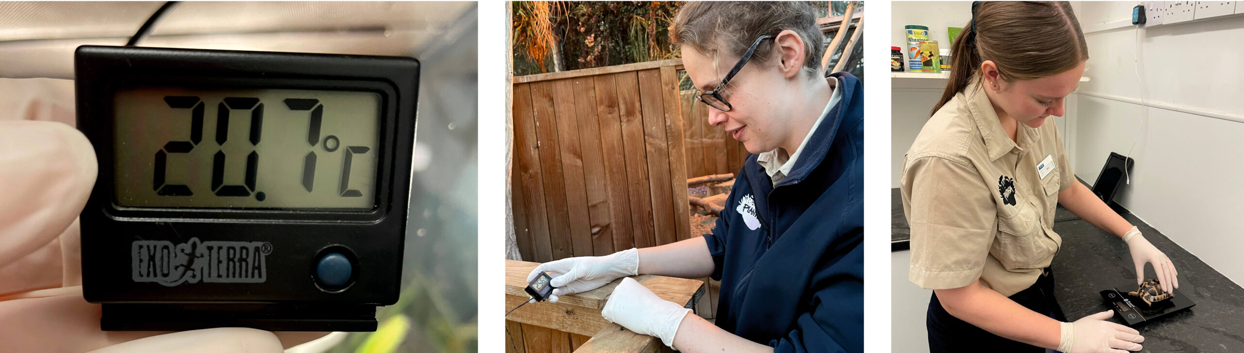 THE LIFE OF A ZOOKEEPER | Plantasia Tropical Zoo